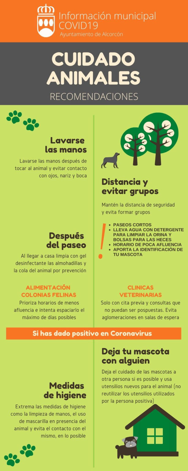 Campaña de recomendaciones sobre el cuidado de los animales domésticos ... Campaña de recomendaciones sobre el cuidado de los animales domésticos ...